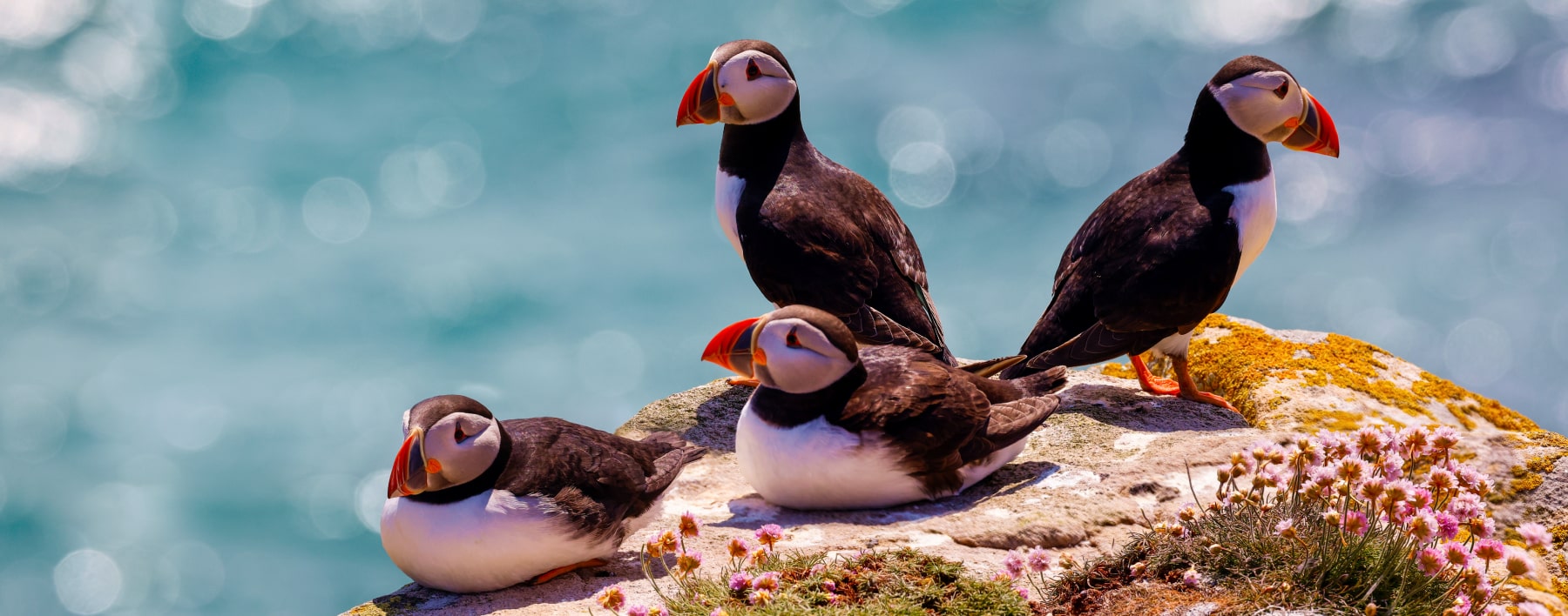 Community impact with Patagonia Action Works